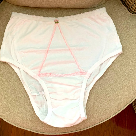 Lady Dignity | Intimates & Sleepwear | Bundle Of 2 Nwt Lady Dignity ...